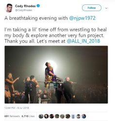 Wedded in 2013, Cody Rhodes and Wife Brandi Rhodes, Enjoying ...